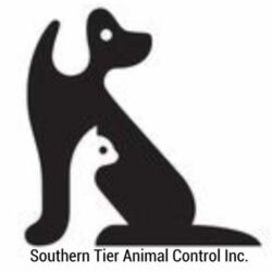 #Home [www.southerntieranimalcontrol.org]