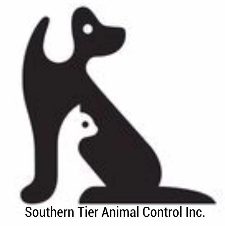 #Home [www.southerntieranimalcontrol.org]