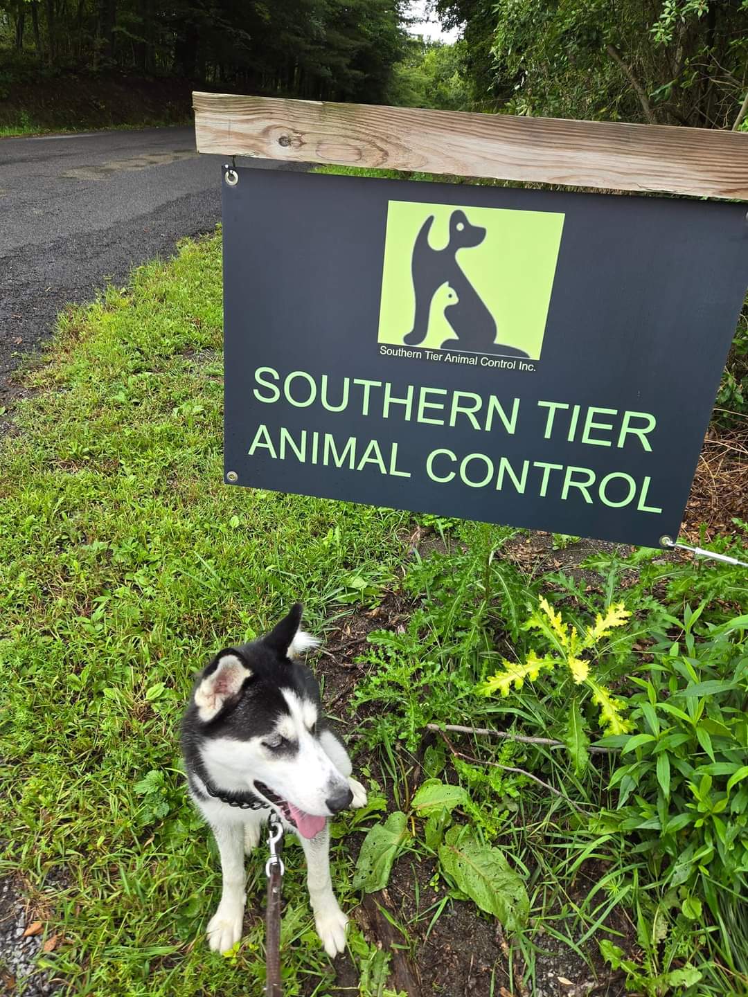 #Home [www.southerntieranimalcontrol.org]